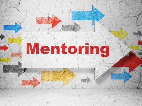 The Roles And Responsibilities Of A Safety Mentor - ELH / HR4Sight